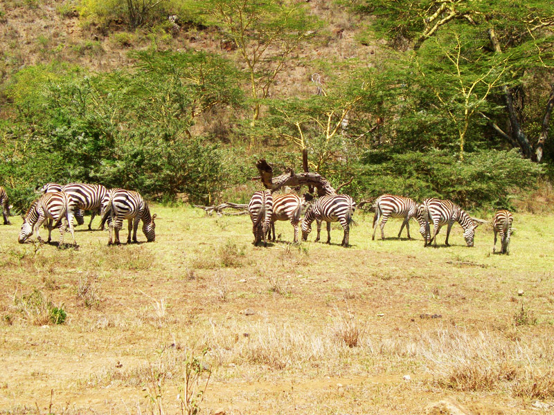 The Kaech Center – Education & Transformation