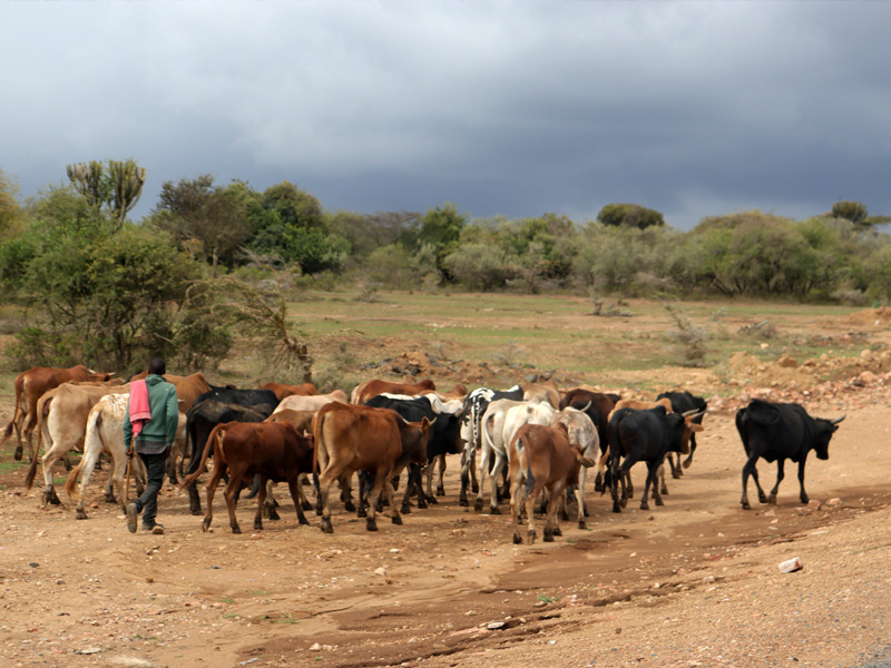 The Kaech Center – Education & Transformation